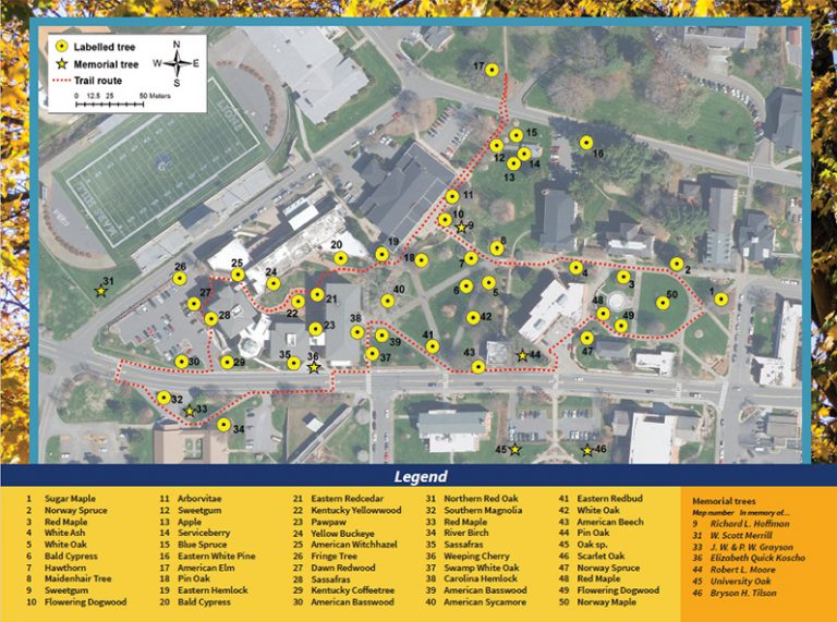 MHU Tree Trail - Mars Hill University